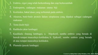 Pertumbuhan dan perkembangan | PPTX