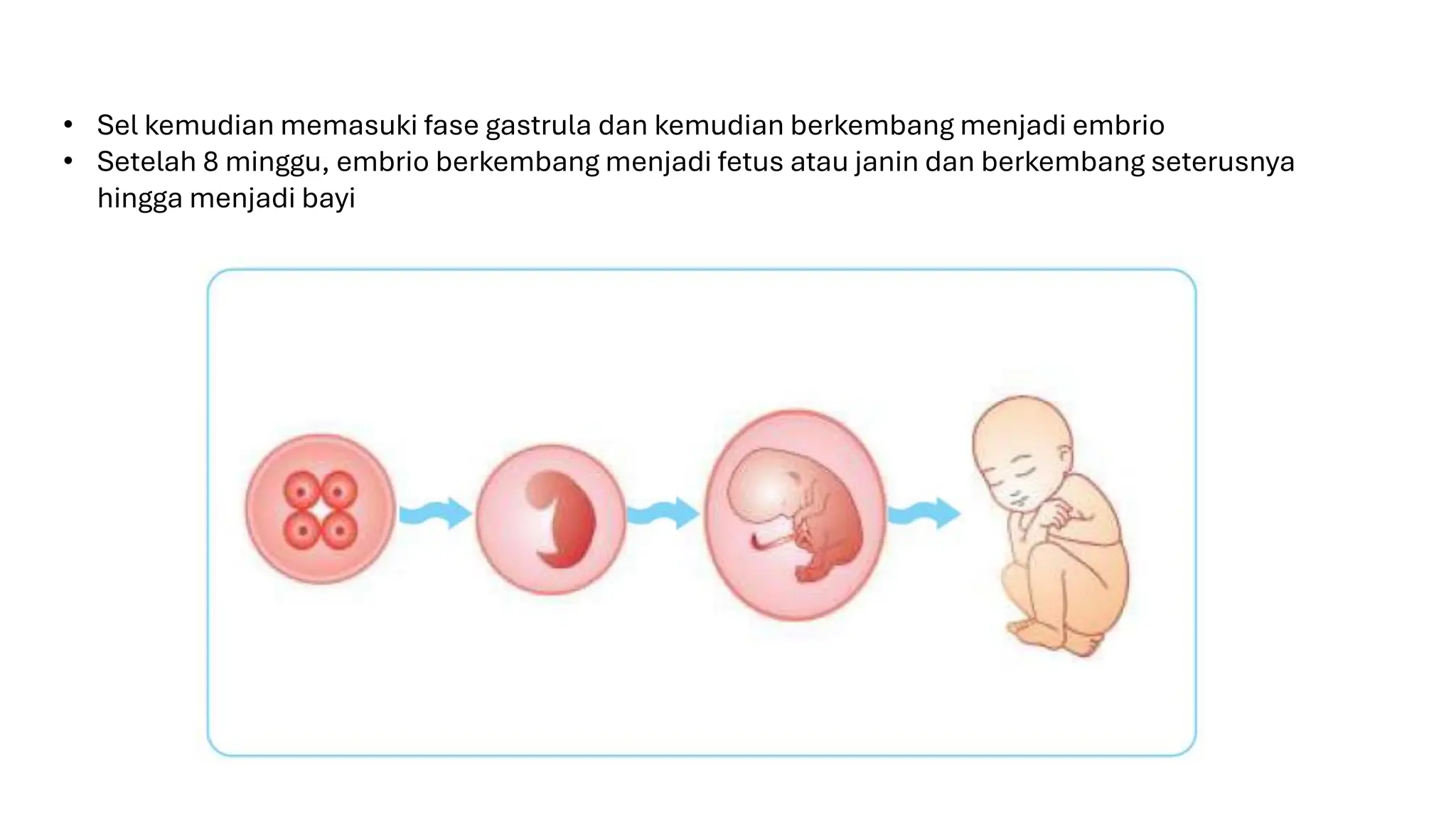 Pertumbuhan dan Perkembangan Pada Makhluk Hidup.pdf
