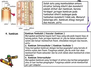 Pertumbuhan dan Perkembangan Makhluk Hidup | PPT