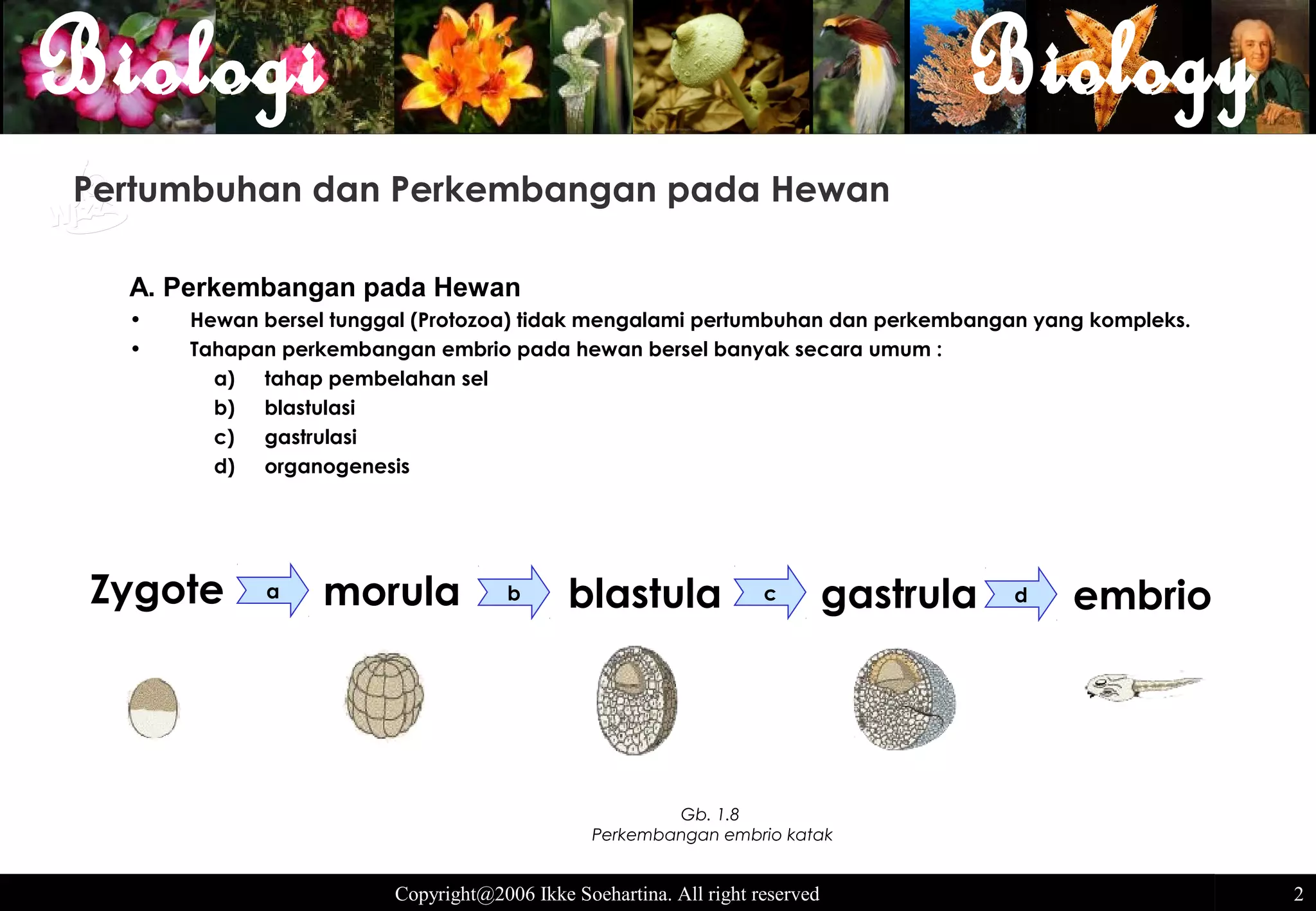 Pertumbuhan dan perkembangan pada hewan | PPT