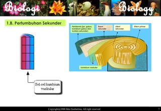 Pertumbuhan dan perkembangan pada tumbuhan | PPT