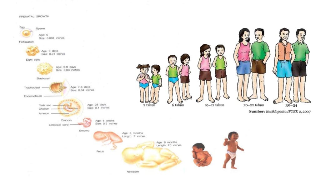 PPT Pertumbuhan dan Perkembangan Anak