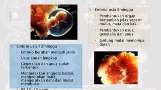 Pertumbuhan dan perkembangan hasil konsepsi | PPTX