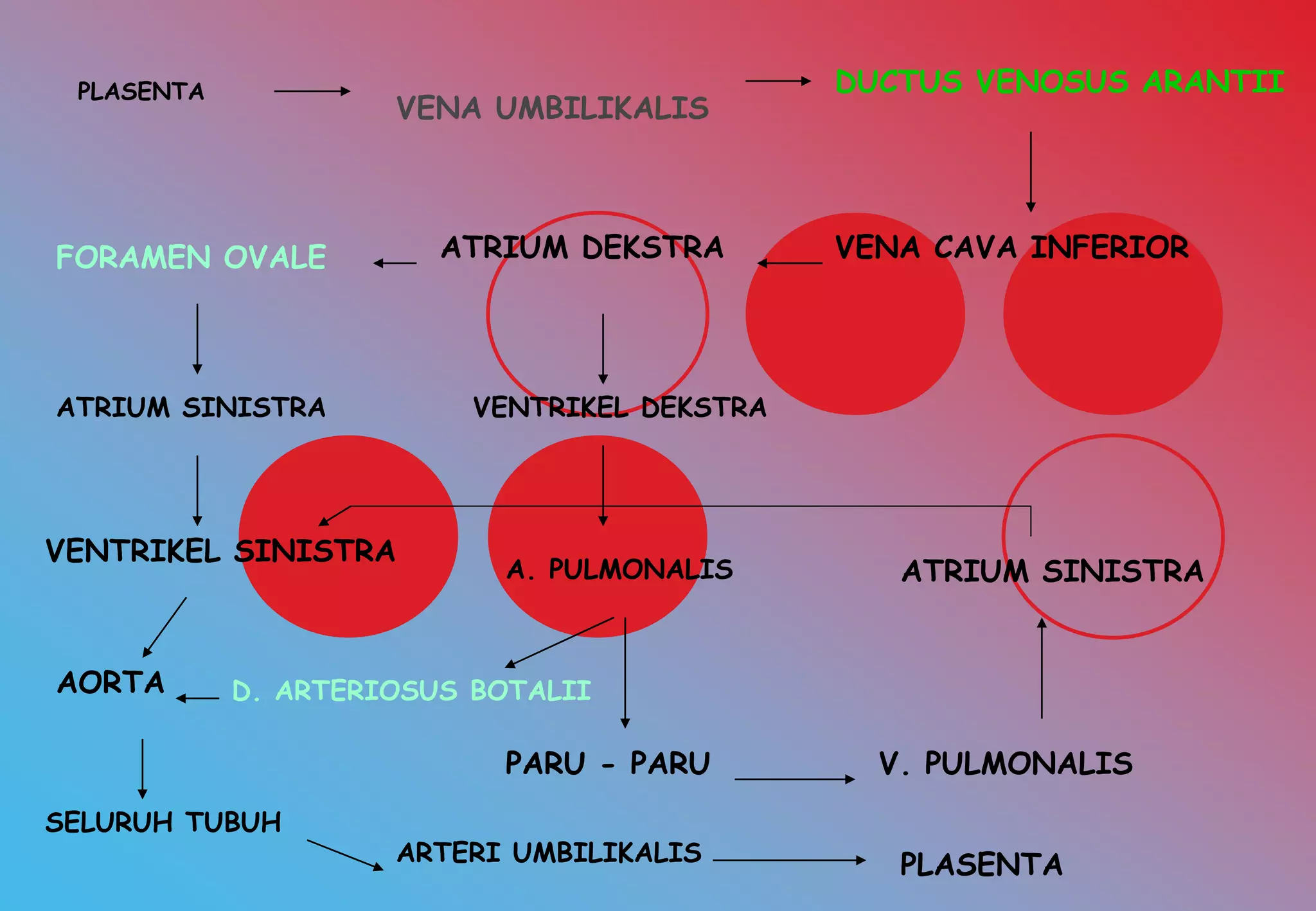 Pertumbuhan dan perkembangan hasil konsepsi | PPT
