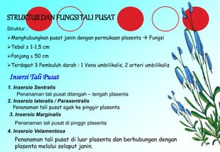 Pertumbuhan dan perkembangan hasil konsepsi | PPT