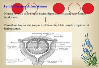 Pertumbuhan dan perkembangan hasil konsepsi | PPT