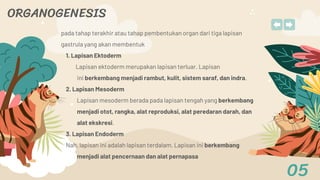 Pertumbuhan dan perkembangan hewan.pptx