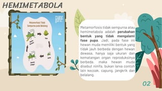 Pertumbuhan dan perkembangan hewan.pptx