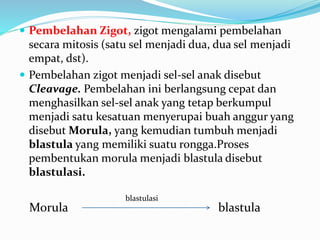 Pertumbuhan dan perkembangan | PPTX