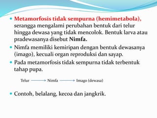 Pertumbuhan dan perkembangan | PPTX