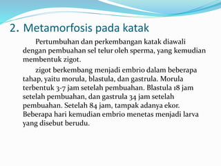 Pertumbuhan dan perkembangan | PPTX