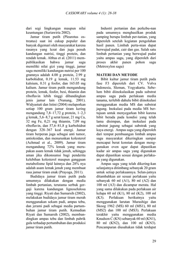 Pertumbuhan dan perkembangan Jamur Tiram Putih (Pleurotus ostreatus) pada media ampas sagu.pdf