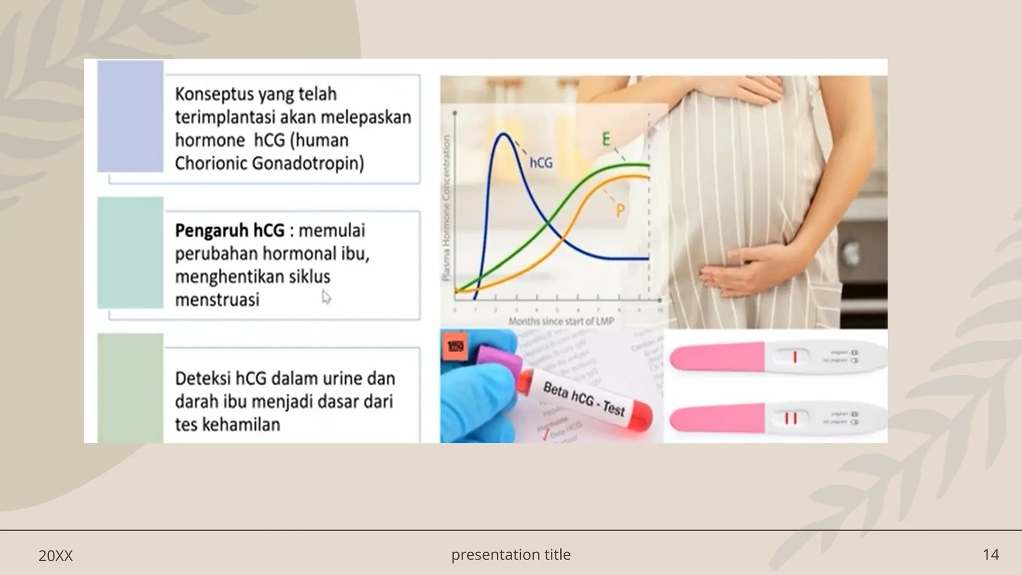 Pertumbuhan dan Perkembangan Janin normal | PPTX