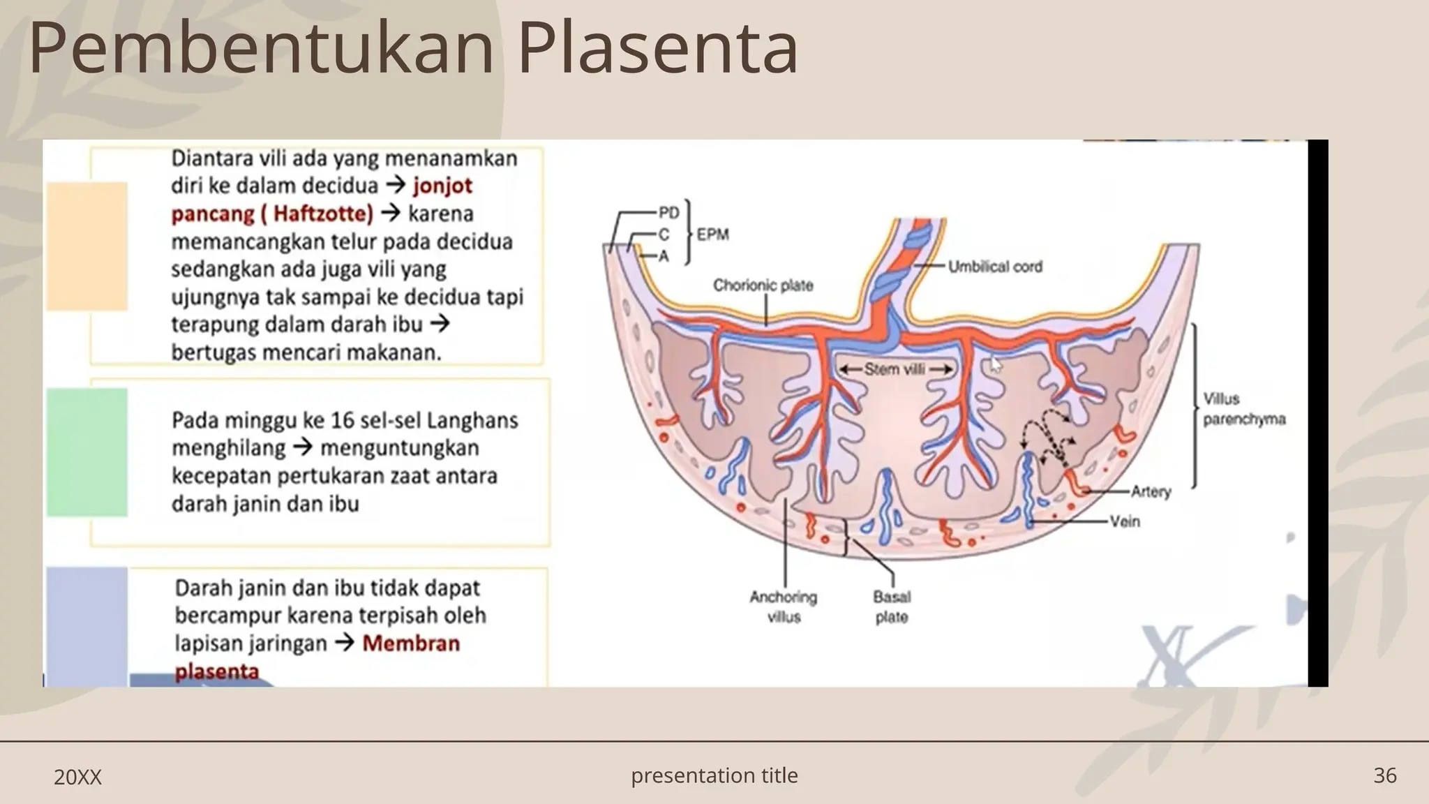 Pertumbuhan dan Perkembangan Janin normal | PPTX