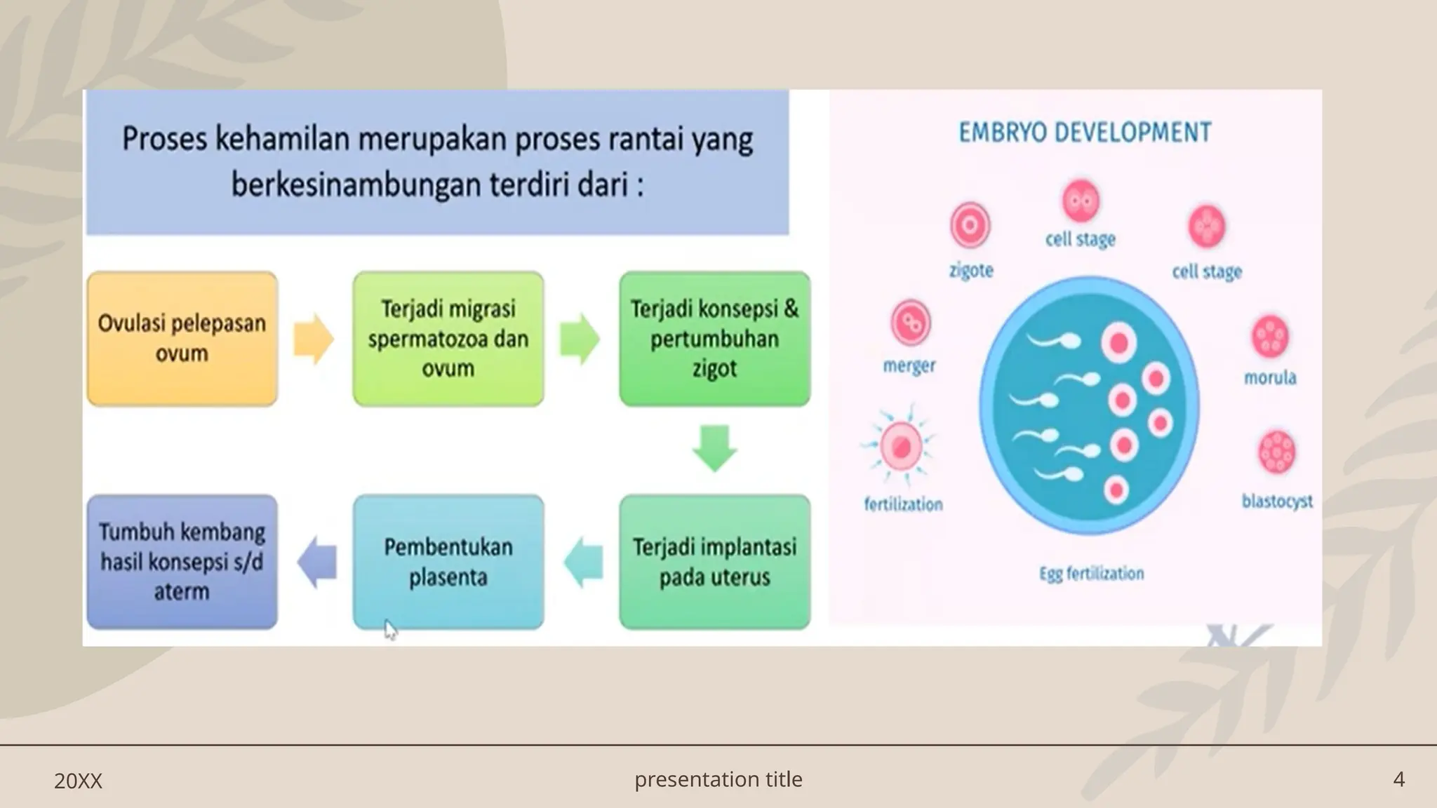 Pertumbuhan dan Perkembangan Janin normal | PPTX