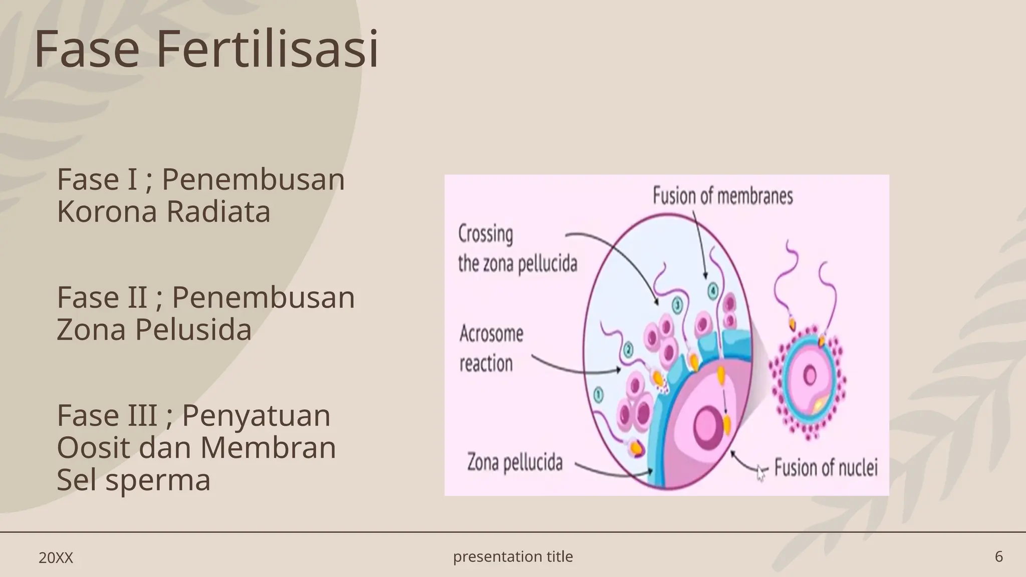 Pertumbuhan dan Perkembangan Janin normal | PPTX