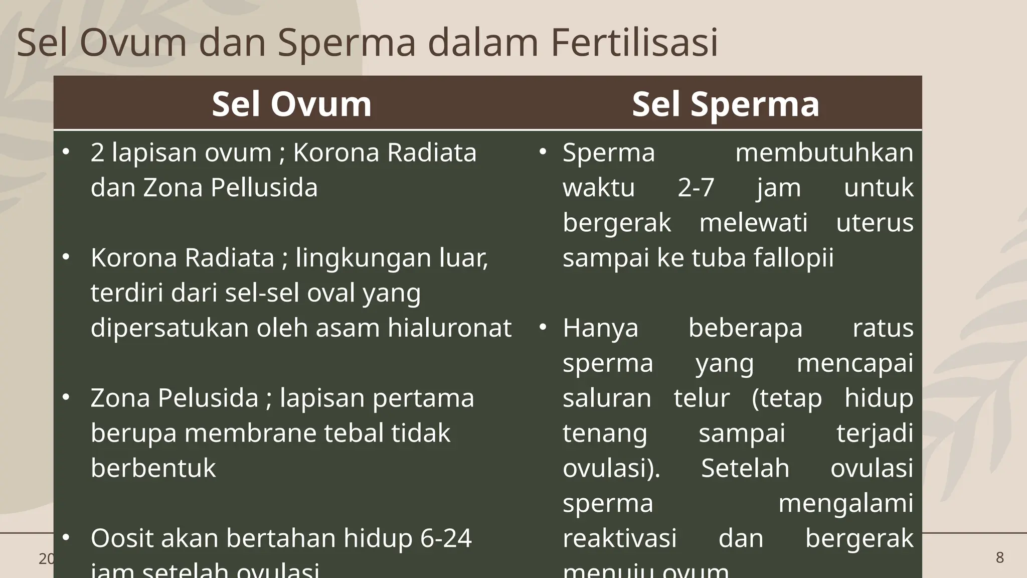 Pertumbuhan dan Perkembangan Janin normal | PPTX