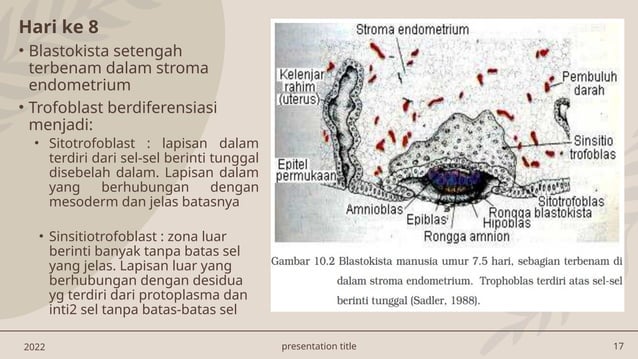 Pertumbuhan dan Perkembangan Janin normal | PPTX