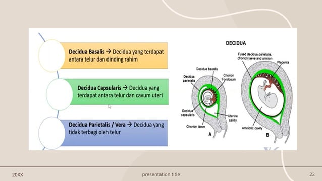 Pertumbuhan dan Perkembangan Janin normal | PPTX