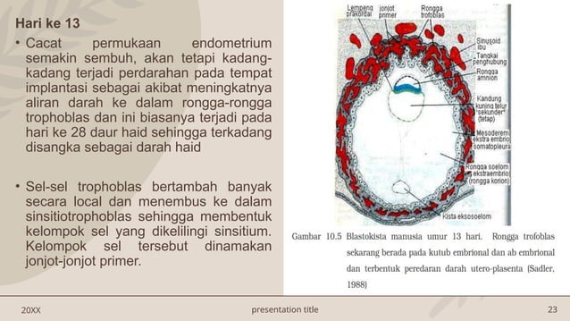 Pertumbuhan dan Perkembangan Janin normal | PPTX