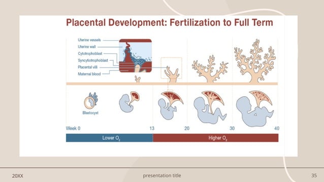 Pertumbuhan dan Perkembangan Janin normal | PPTX