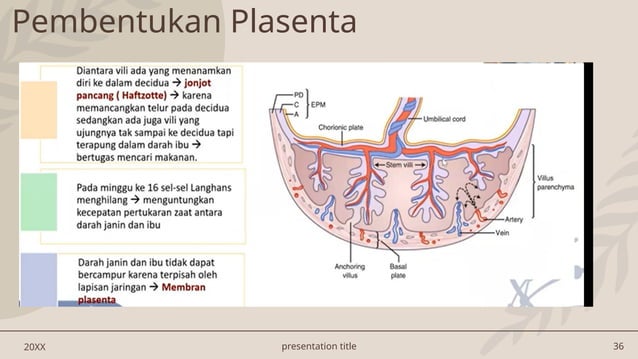 Pertumbuhan dan Perkembangan Janin normal | PPTX