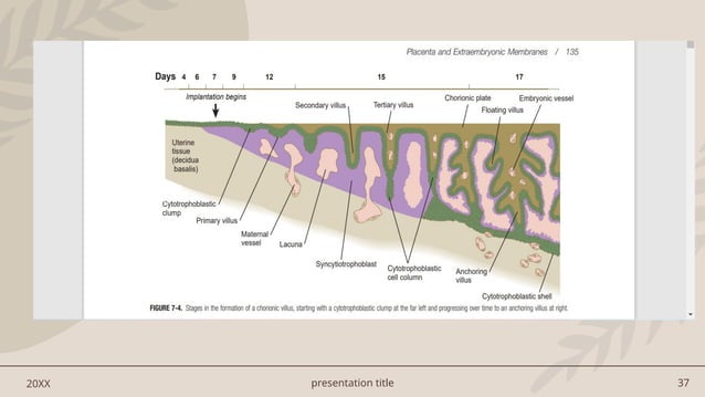 Pertumbuhan dan Perkembangan Janin normal | PPTX