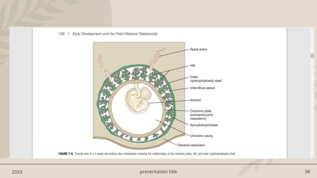 Pertumbuhan dan Perkembangan Janin normal | PPTX