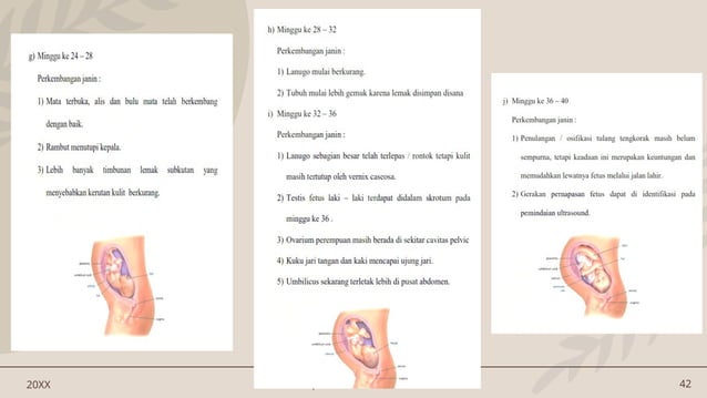 Pertumbuhan dan Perkembangan Janin normal | PPTX