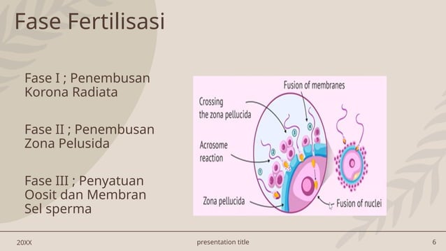 Pertumbuhan dan Perkembangan Janin normal | PPTX