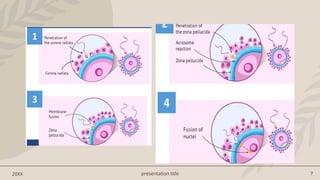 Pertumbuhan dan Perkembangan Janin normal | PPTX
