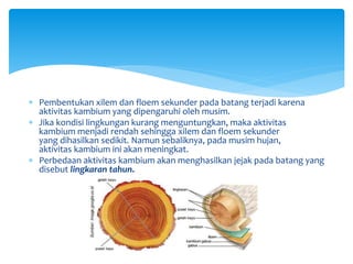 PERTUMBUHAN DAN PERKEMBANGAN MAHLUK HIDUP | PPTX