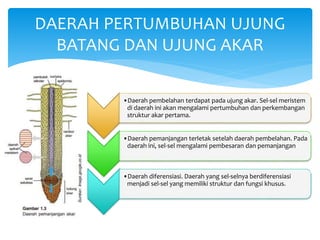 PERTUMBUHAN DAN PERKEMBANGAN MAHLUK HIDUP | PPTX