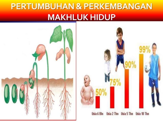Pertumbuhan dan Perkembangan Makhluk Hidup | PPTX
