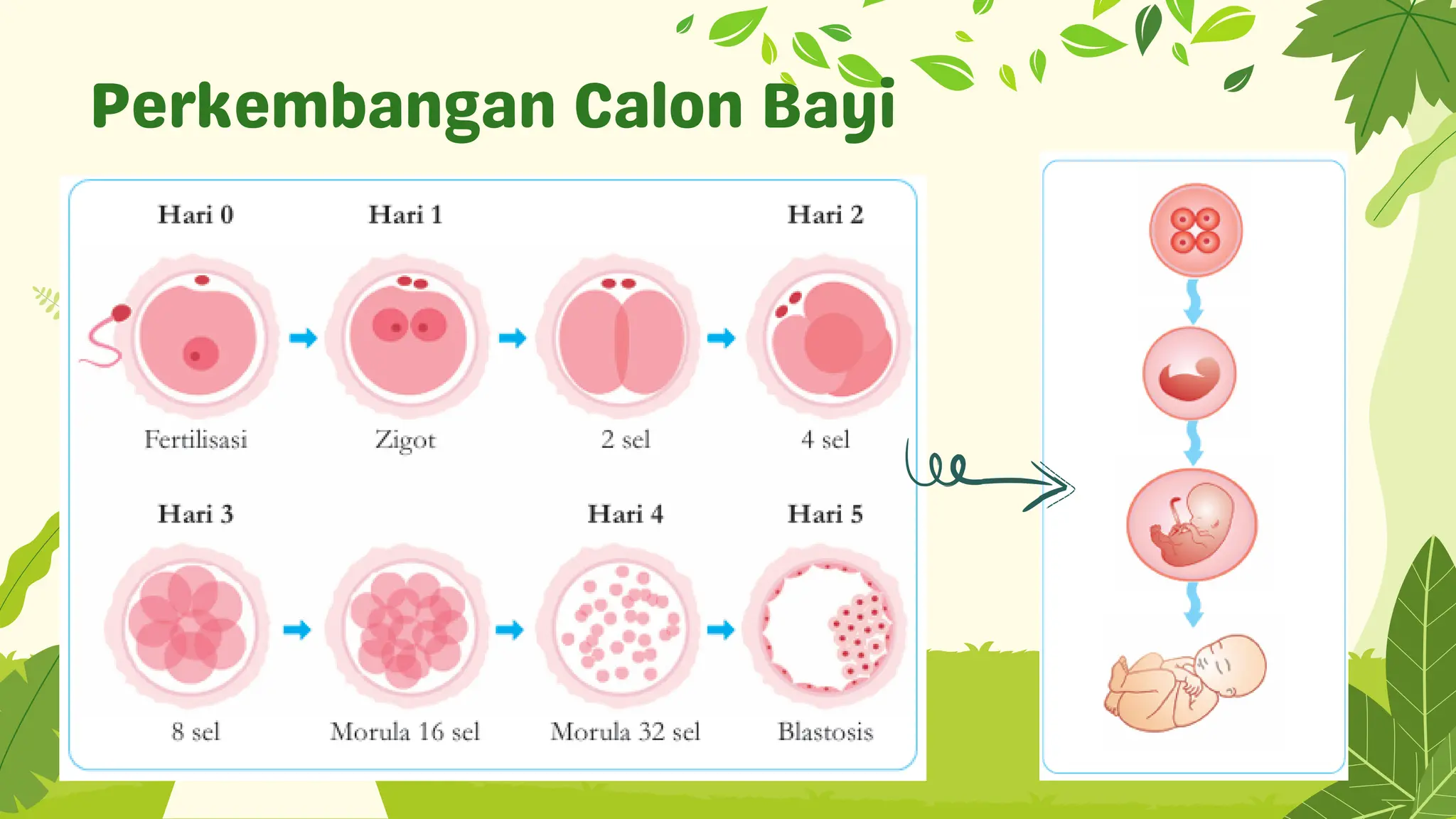 Pertumbuhan dan Perkembangan Manusia 1.pdf