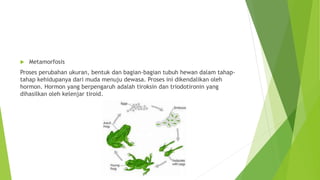 Pertumbuhan dan perkembangan pada hewann.pptx