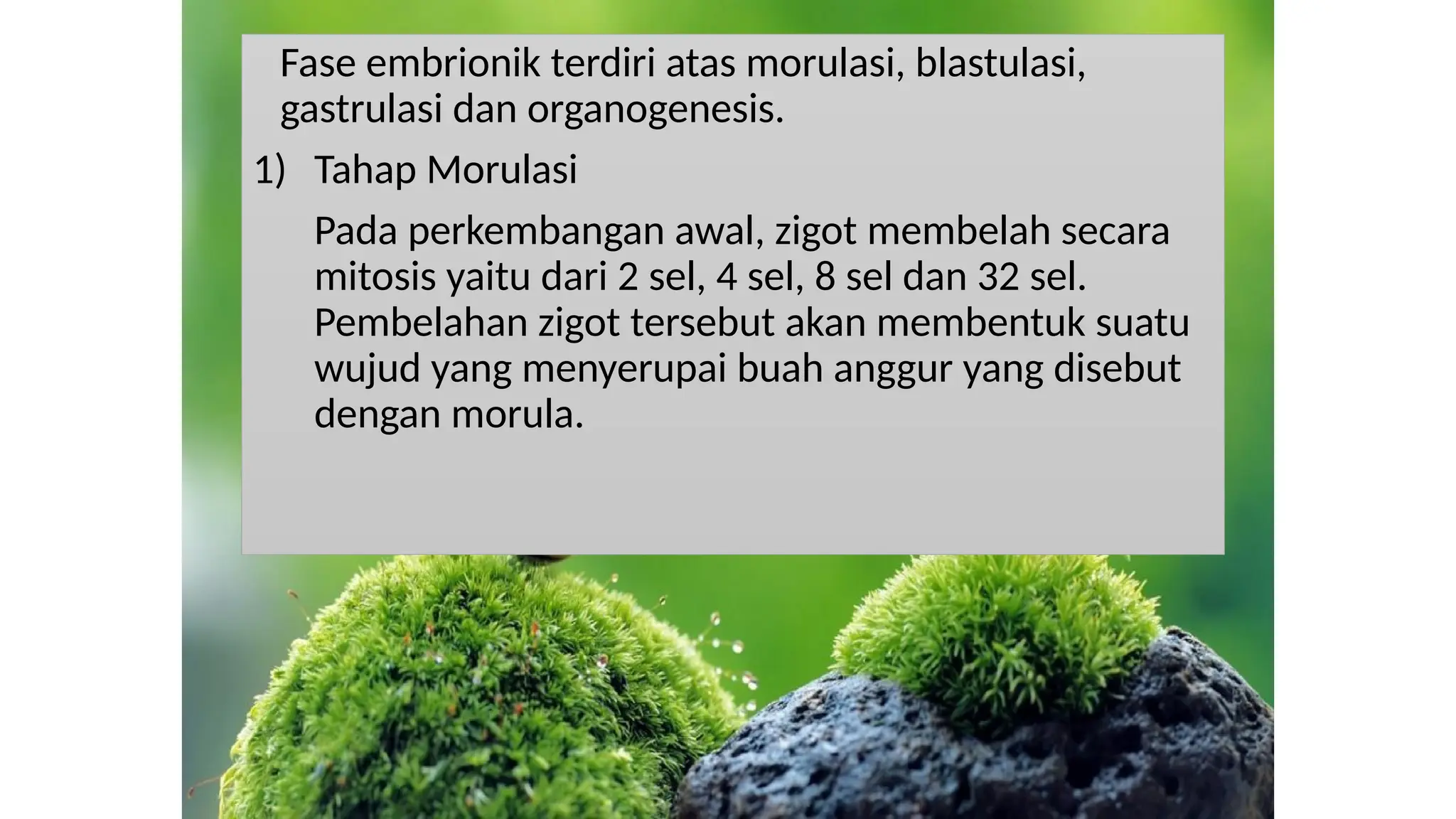 PERTUMBUHAN DAN PERKEMBANGAN PADA HEWAN DAN MANUSIA PELAJARAN MADRASAH ...