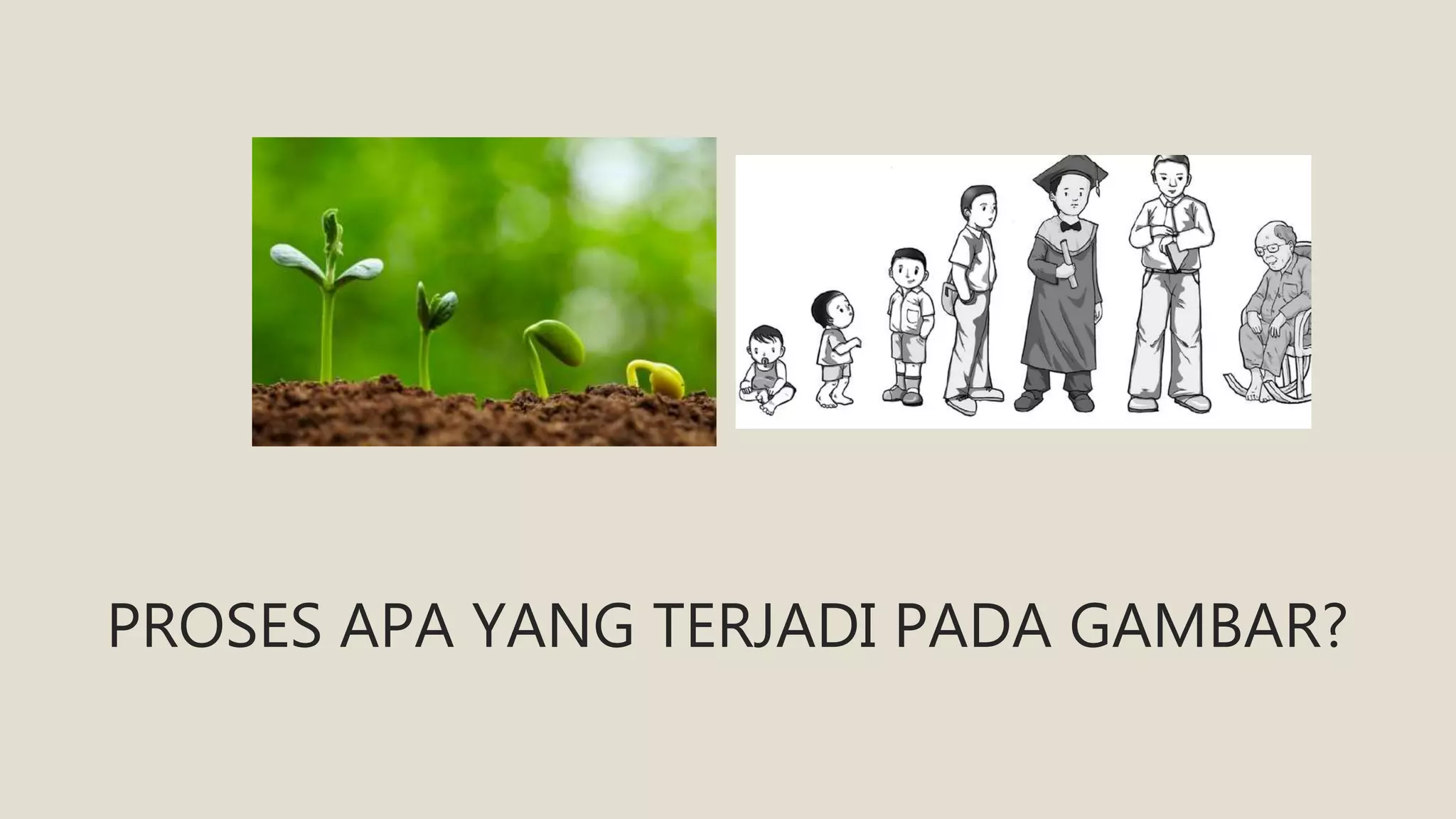 Pertumbuhan dan perkembangan pada makhluk hidup | PPTX