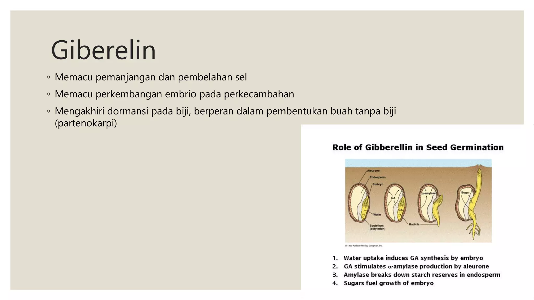 Pertumbuhan dan perkembangan pada makhluk hidup | PPTX