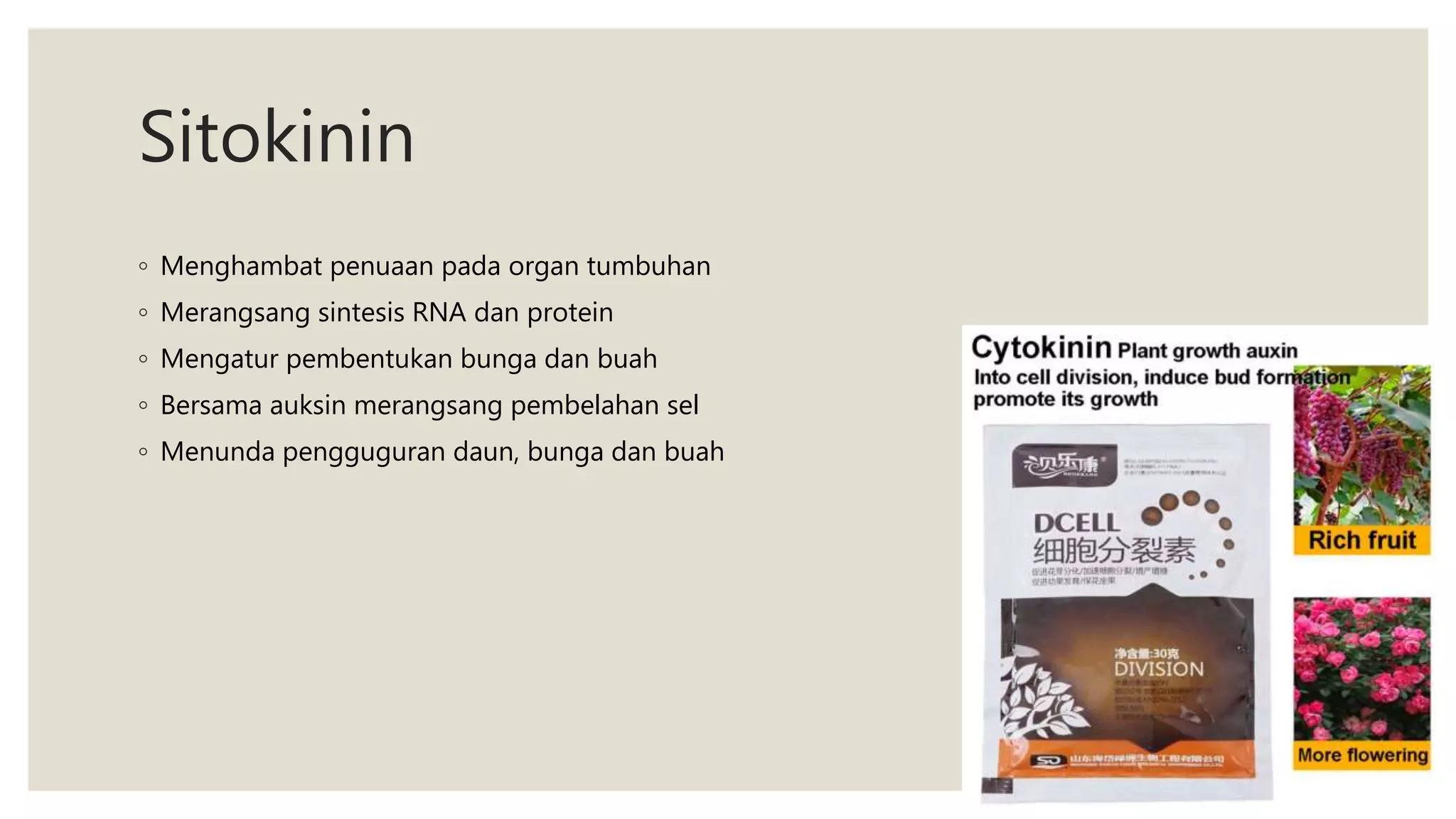 Pertumbuhan dan perkembangan pada makhluk hidup | PPTX