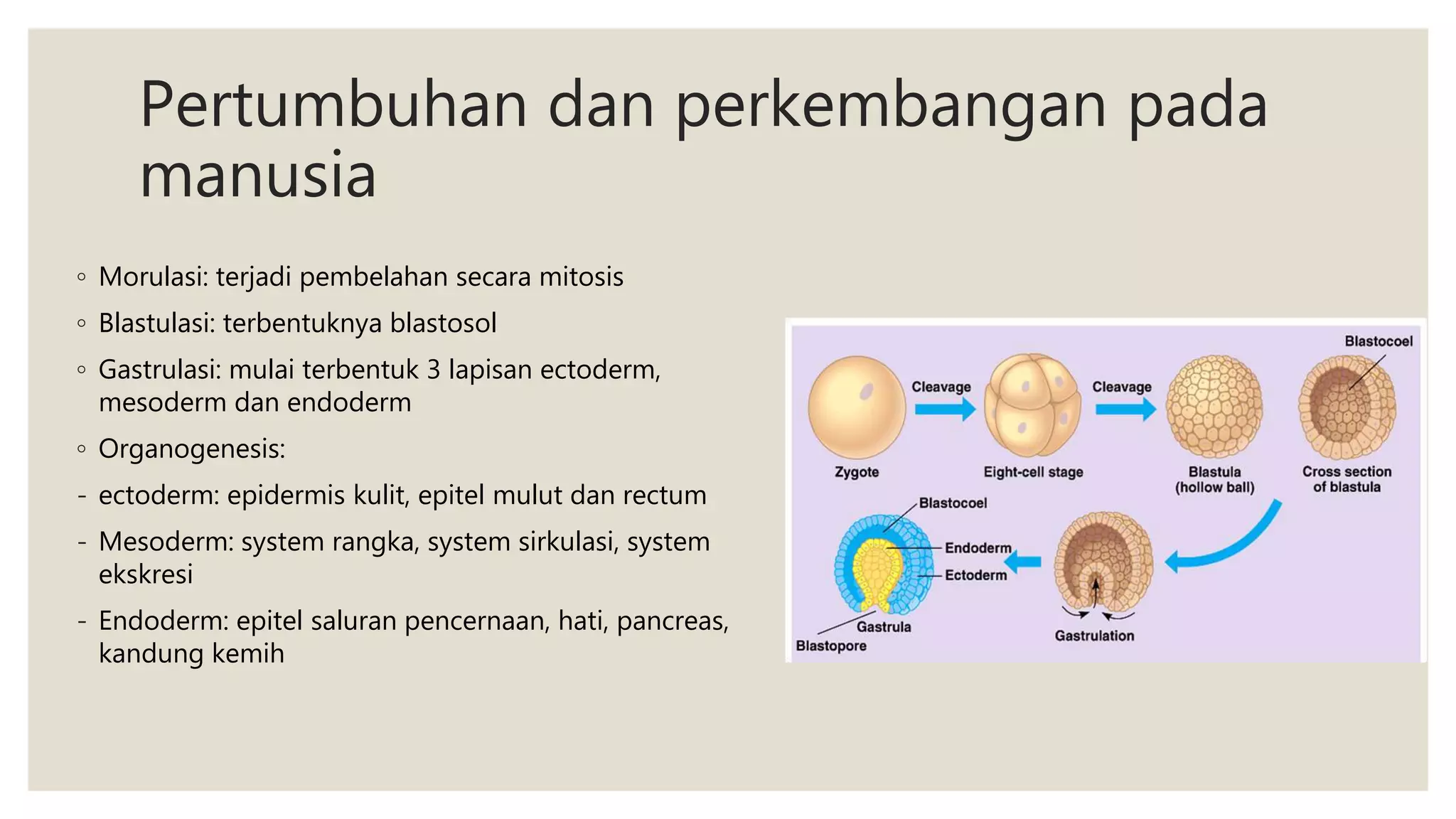 Pertumbuhan dan perkembangan pada makhluk hidup | PPTX
