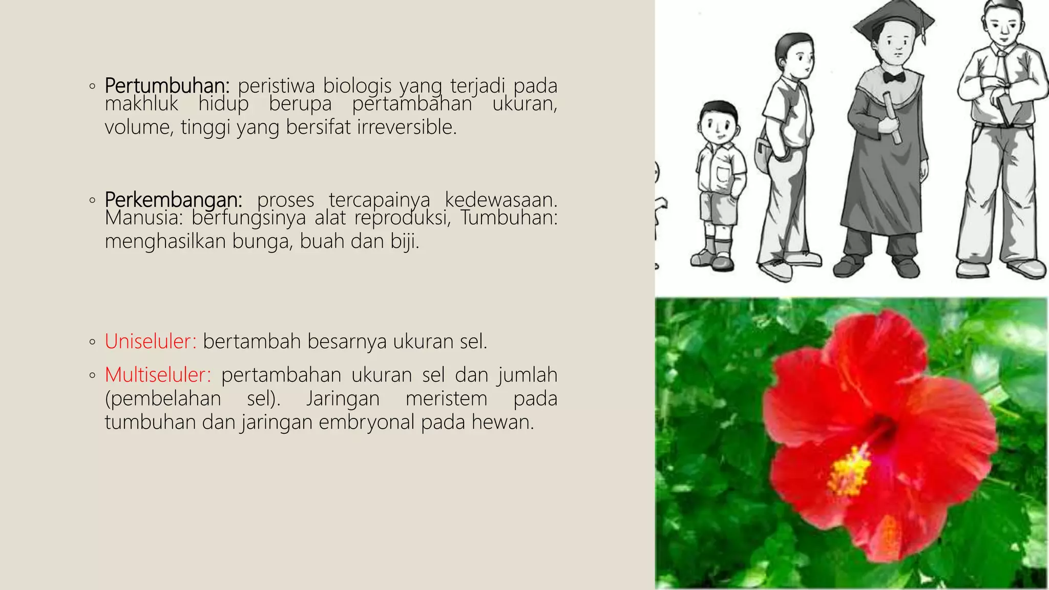 Pertumbuhan dan perkembangan pada makhluk hidup | PPTX