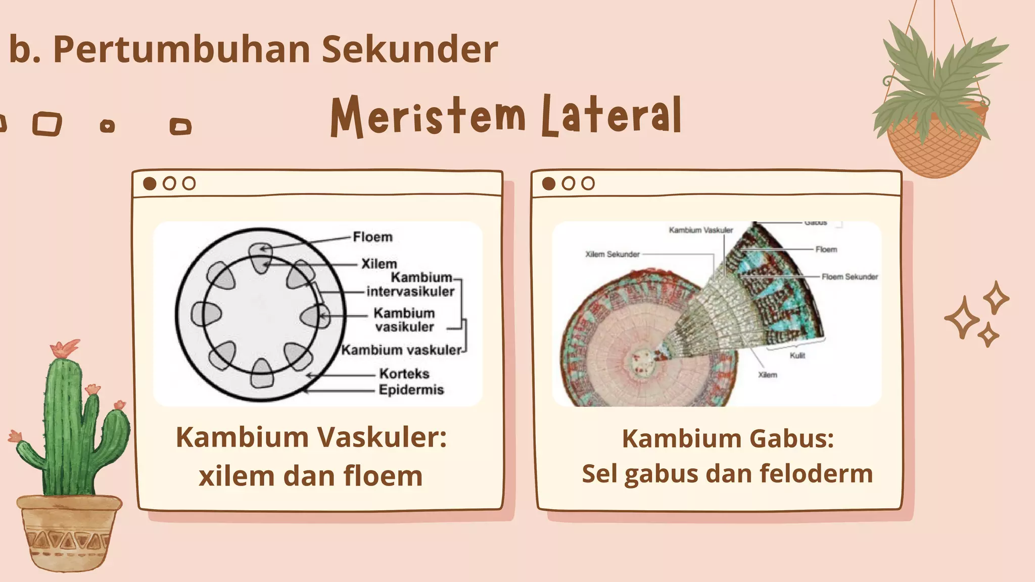 Pertumbuhan dan Perkembangan Pada Makhluk Hidup (1).pdf