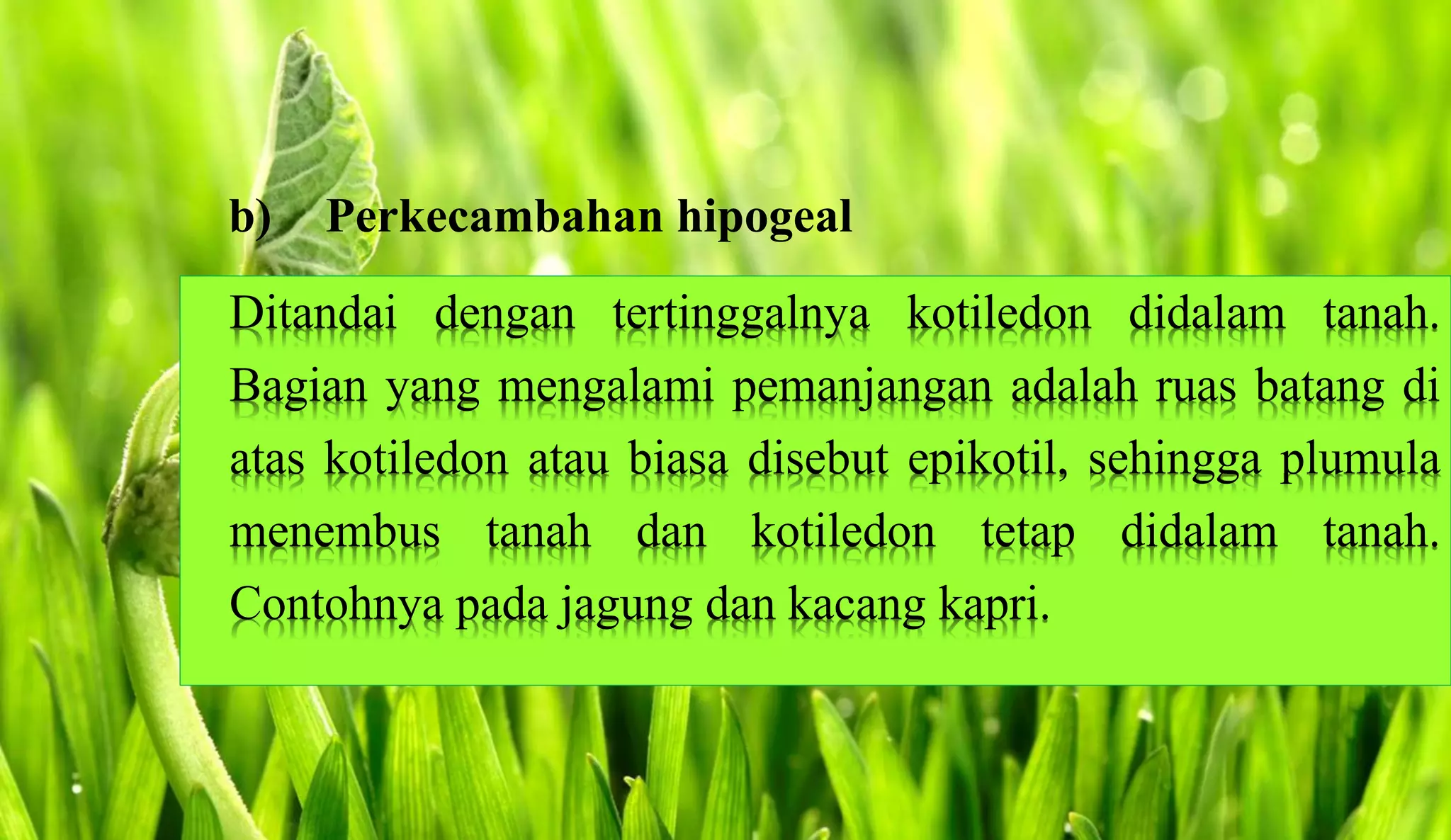 Pertumbuhan dan perkembangan pada tumbuhan | PPTX