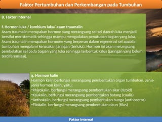 Tugas Kelompok Biologi - Pertumbuhan dan Perkembangan pada Tumbuhan | PPT