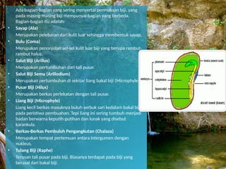 Tugas Kelompok Biologi - Pertumbuhan dan Perkembangan pada Tumbuhan | PPT