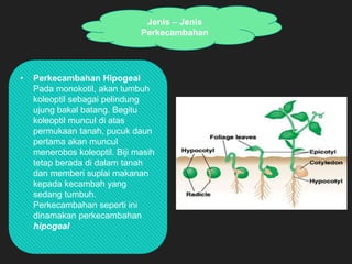 Pertumbuhan dan perkembangan tumbuhan | PPTX