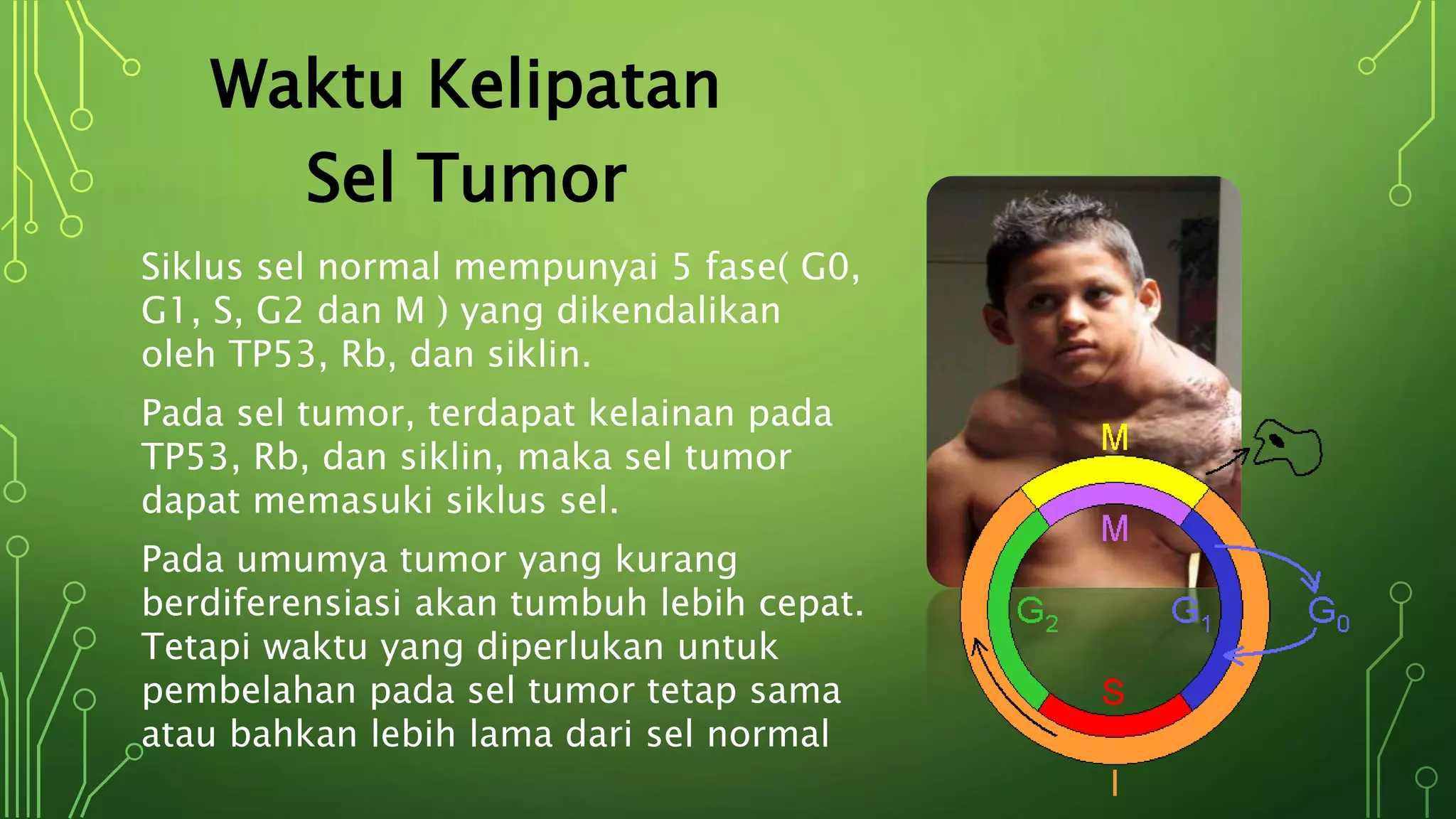 BIOLOGI Pertumbuhan TUMOR | PPTX