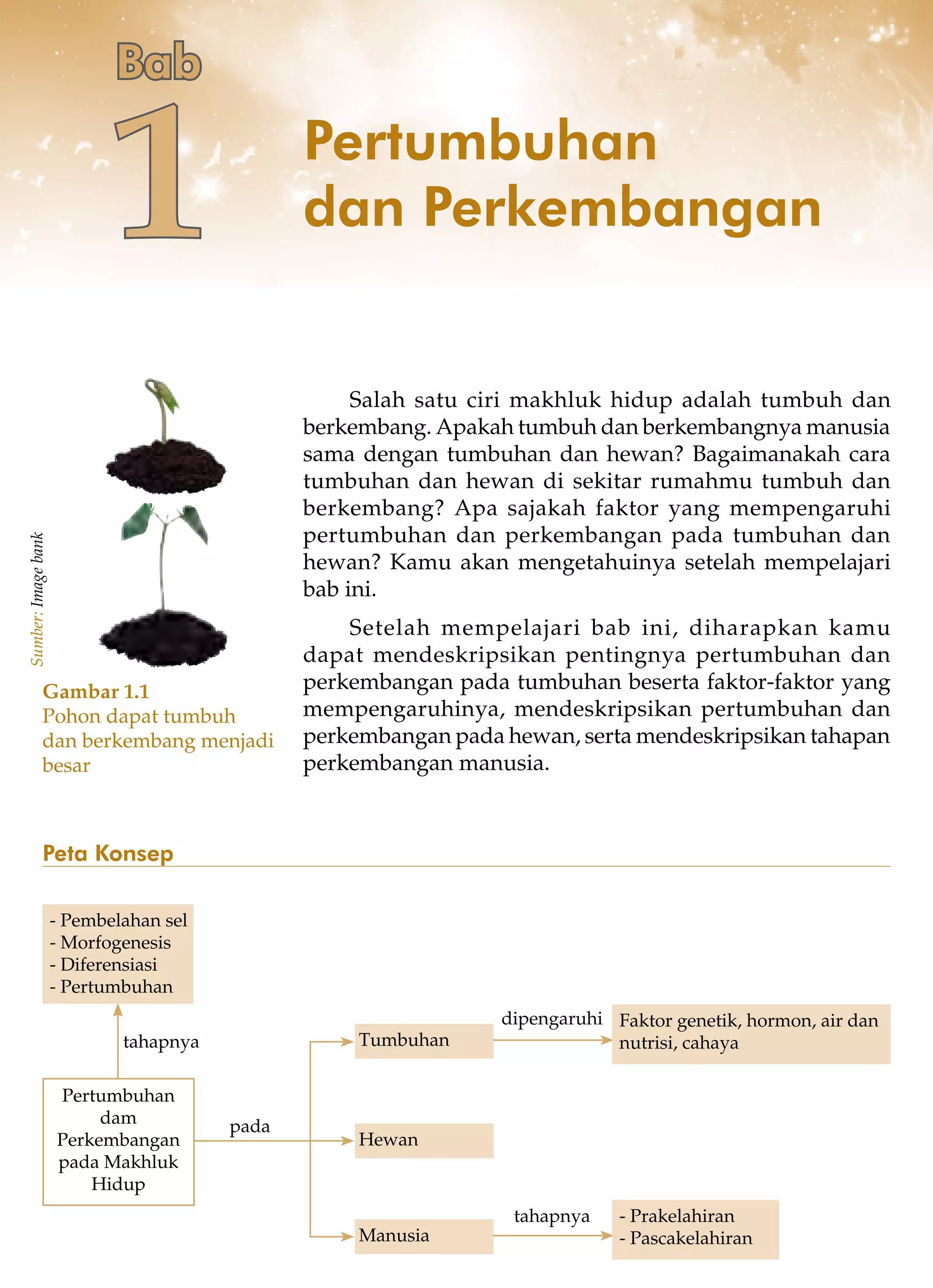 Pertumbuhan dan Perkembangan | PDF