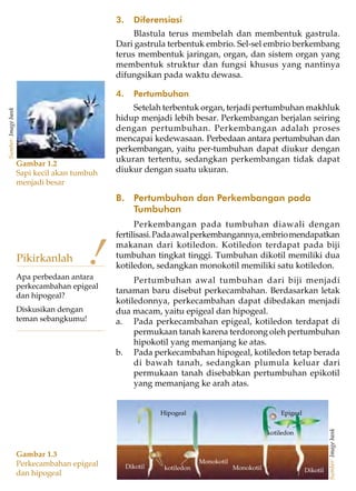 Pertumbuhan dan Perkembangan | PDF
